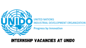 Intern at United Nations Industrial Development Organization (UNIDO)