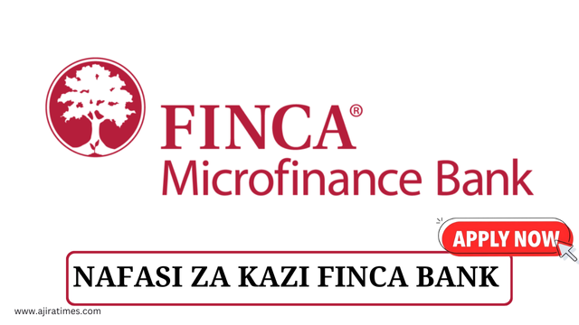 FINCA Microfinance vacancies Tanzania