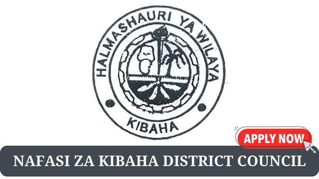 Kibaha District Council Vacancies Tanzania