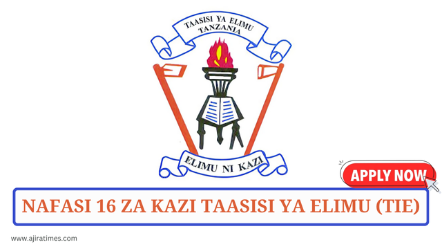 Tanzania Institute Of Education (TIE) Vacancies