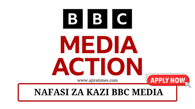 BBC Media Action Vacancies Tanzania