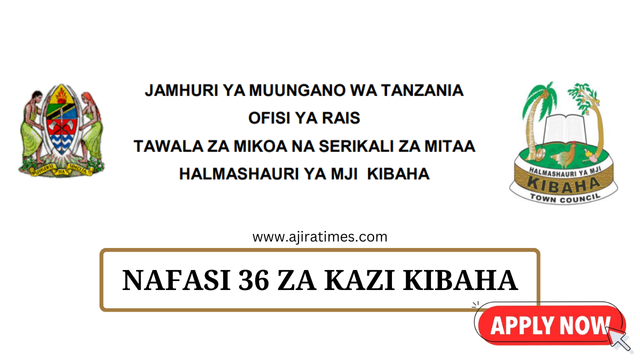Kibaha Town Council Vacancies Tanzania