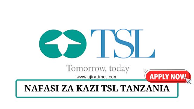 Tanzania Securities Limited (TSL) Vacancies Tanzania