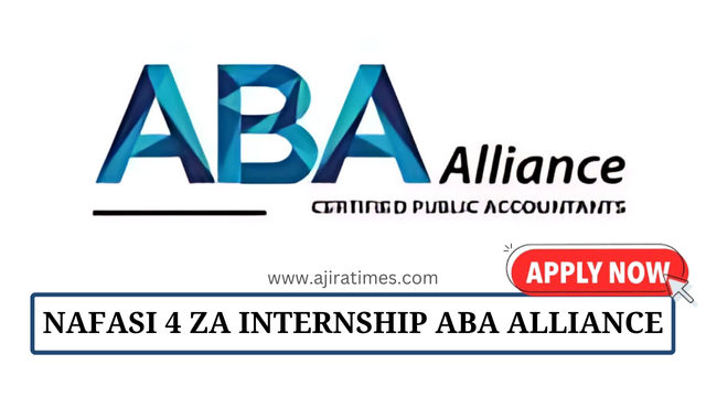 Audit Internship at ABA Alliance August 2024