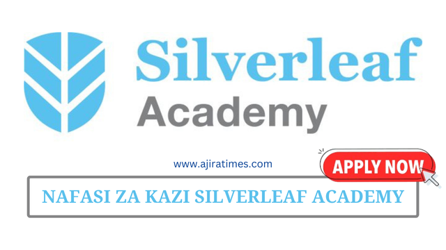 Human Resources Officer at Silverleaf Academy August 2024