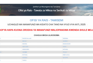 TAMISEMI Form Five Selection 2025/2026 Archives - Ajira Times
