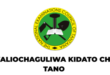 TAMISEMI Form Five Selection 2025/2026 Archives - Ajira Times