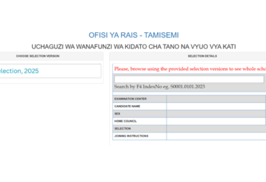 Waliochaguliwa Kidato cha Tano 2025/2026 – Majina na Shule Walizopangiwa | Form Five Selection
